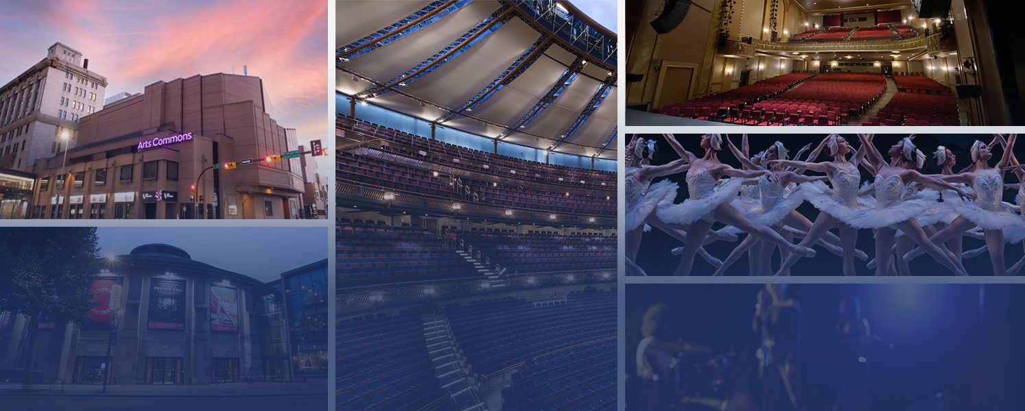 Solutions for Live Event Venues | True Tickets